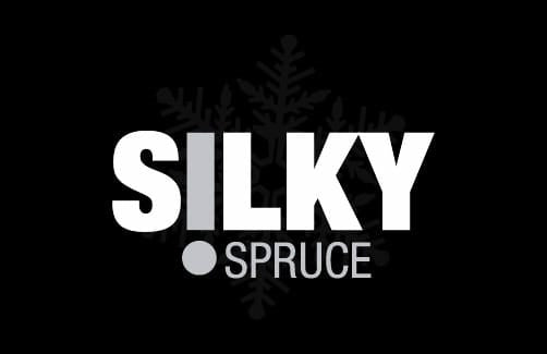 News – Silky Spruce